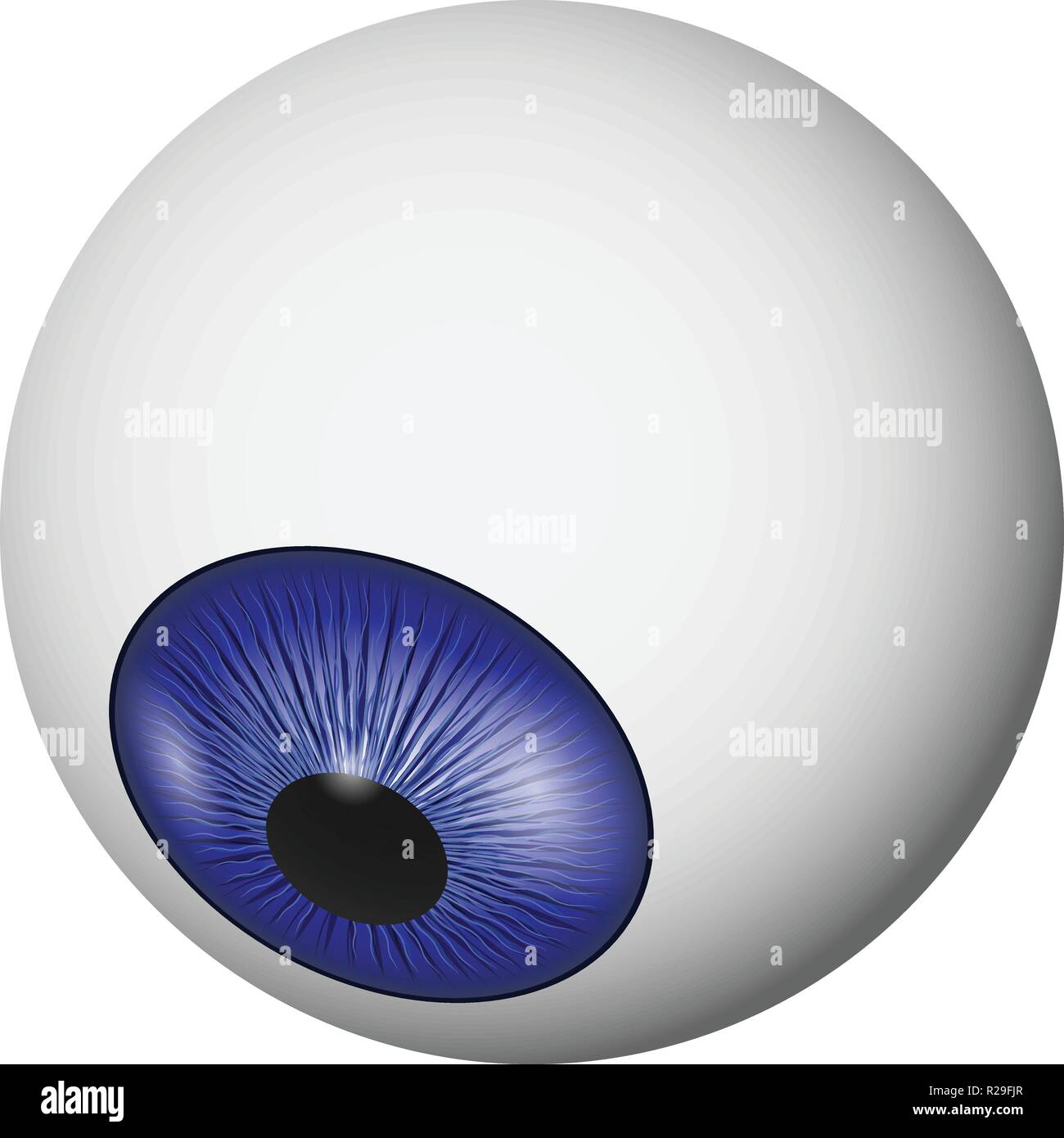 Eye icon. Realistic illustration of eye vector icon for web Stock ...