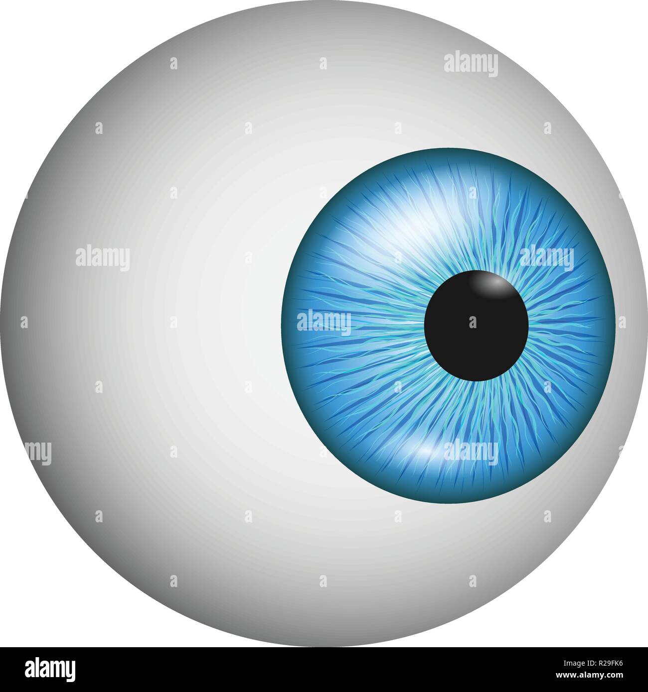 Eye anatomy icon. Realistic illustration of eye anatomy vector icon for ...