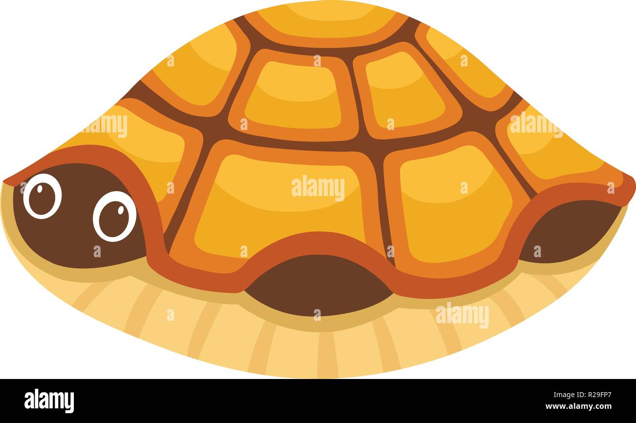 Turtle in house icon. Cartoon illustration of turtle in house vector ...