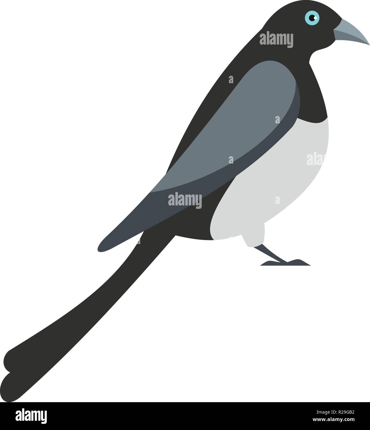 Big magpie icon. Flat illustration of big magpie vector icon for web ...