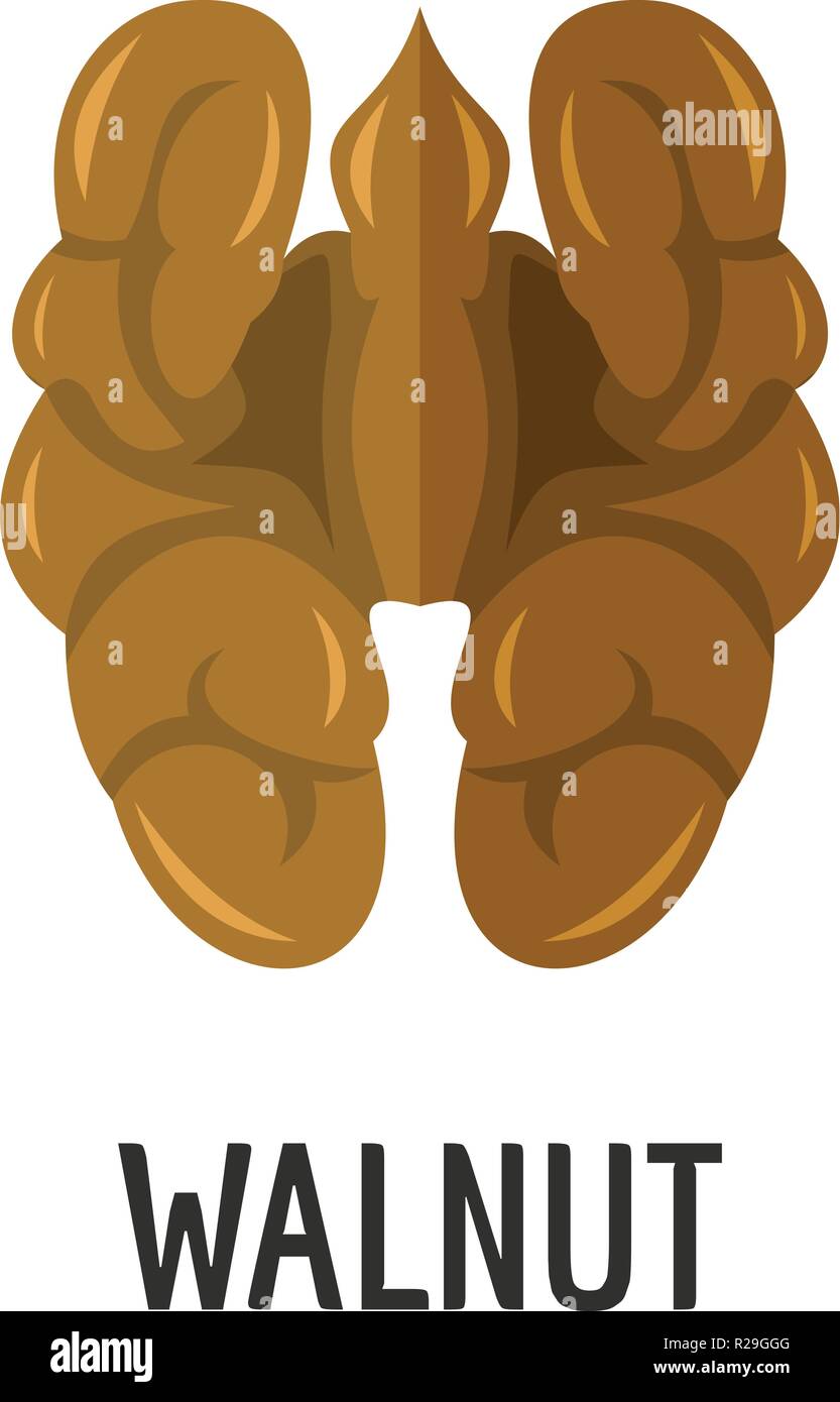 Walnut icon. Flat illustration of walnut vector icon for web Stock ...