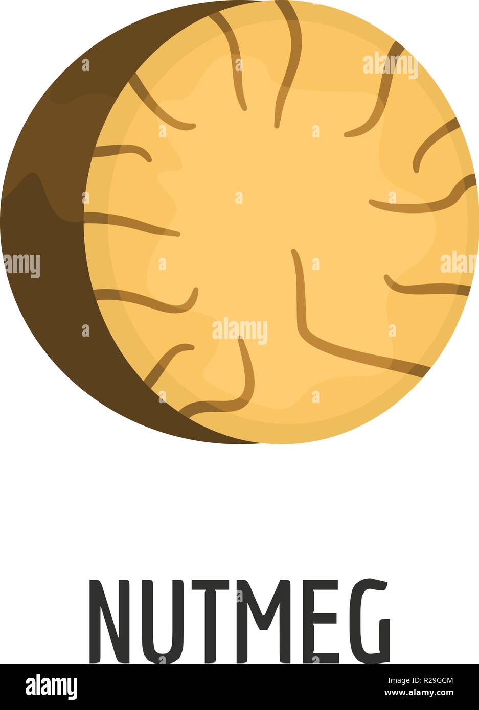 Nutmeg icon. Flat illustration of nutmeg vector icon for web Stock ...