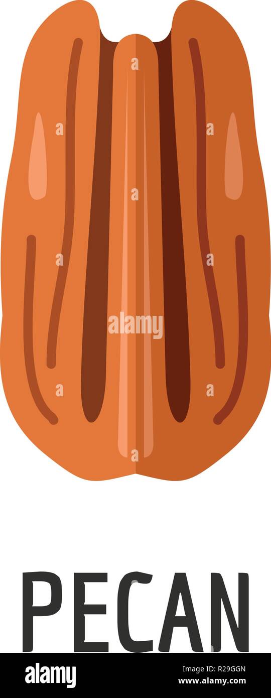 Pecan icon. Flat illustration of pecan vector icon for web Stock Vector ...