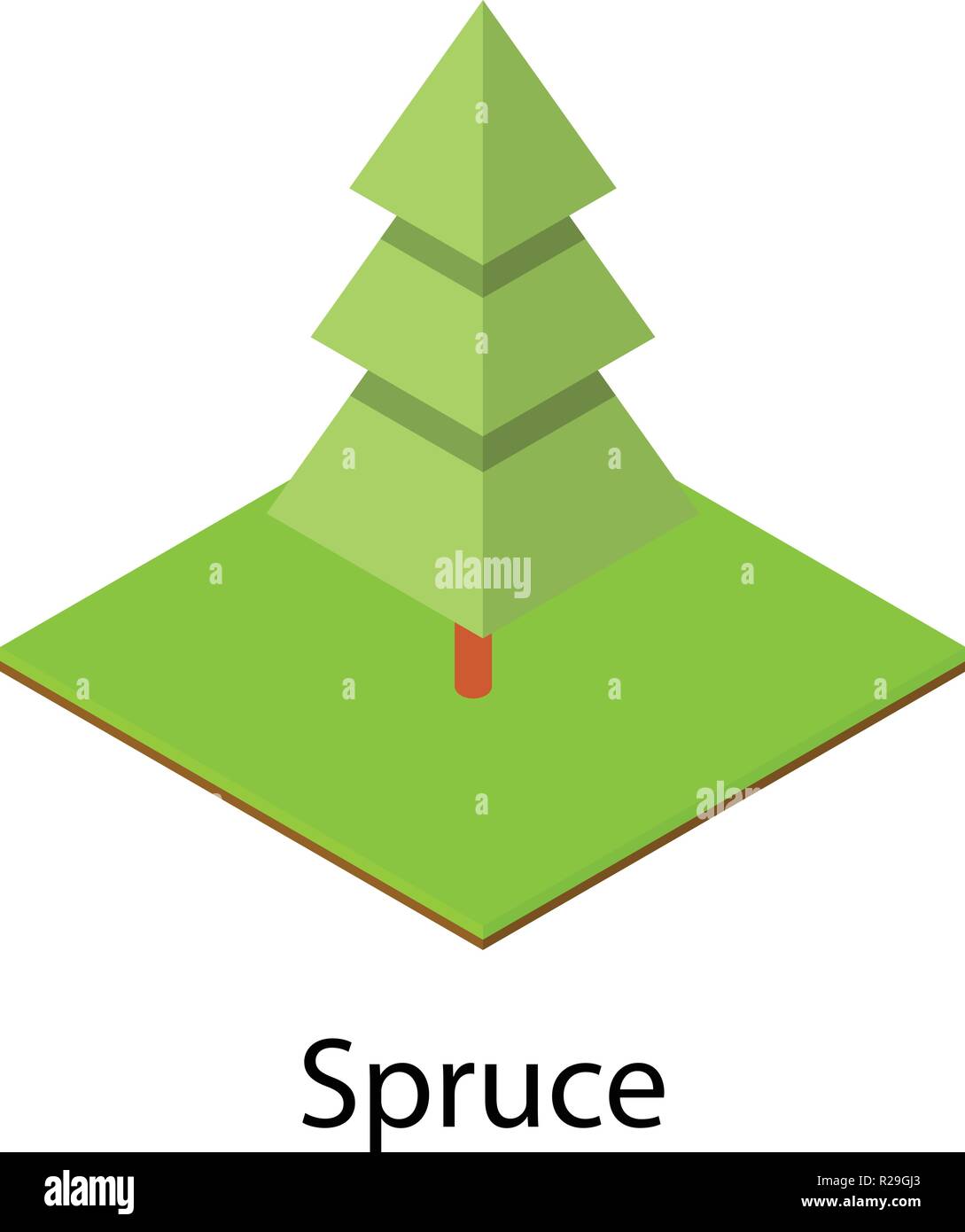 Spruce tree icon. Isometric illustration of spruce tree vector icon for ...