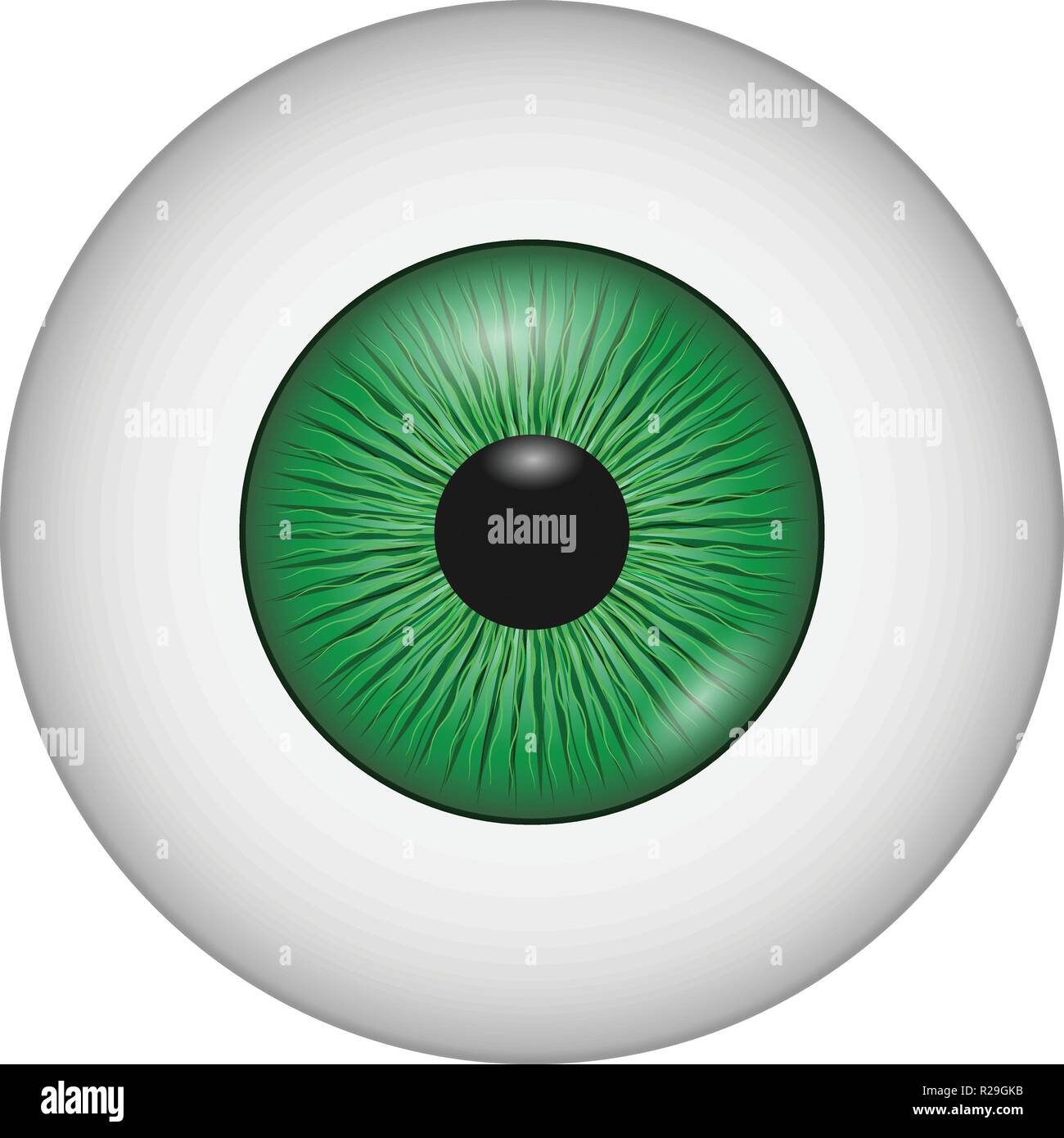 Human eye icon. Realistic illustration of human eye vector icon for web ...