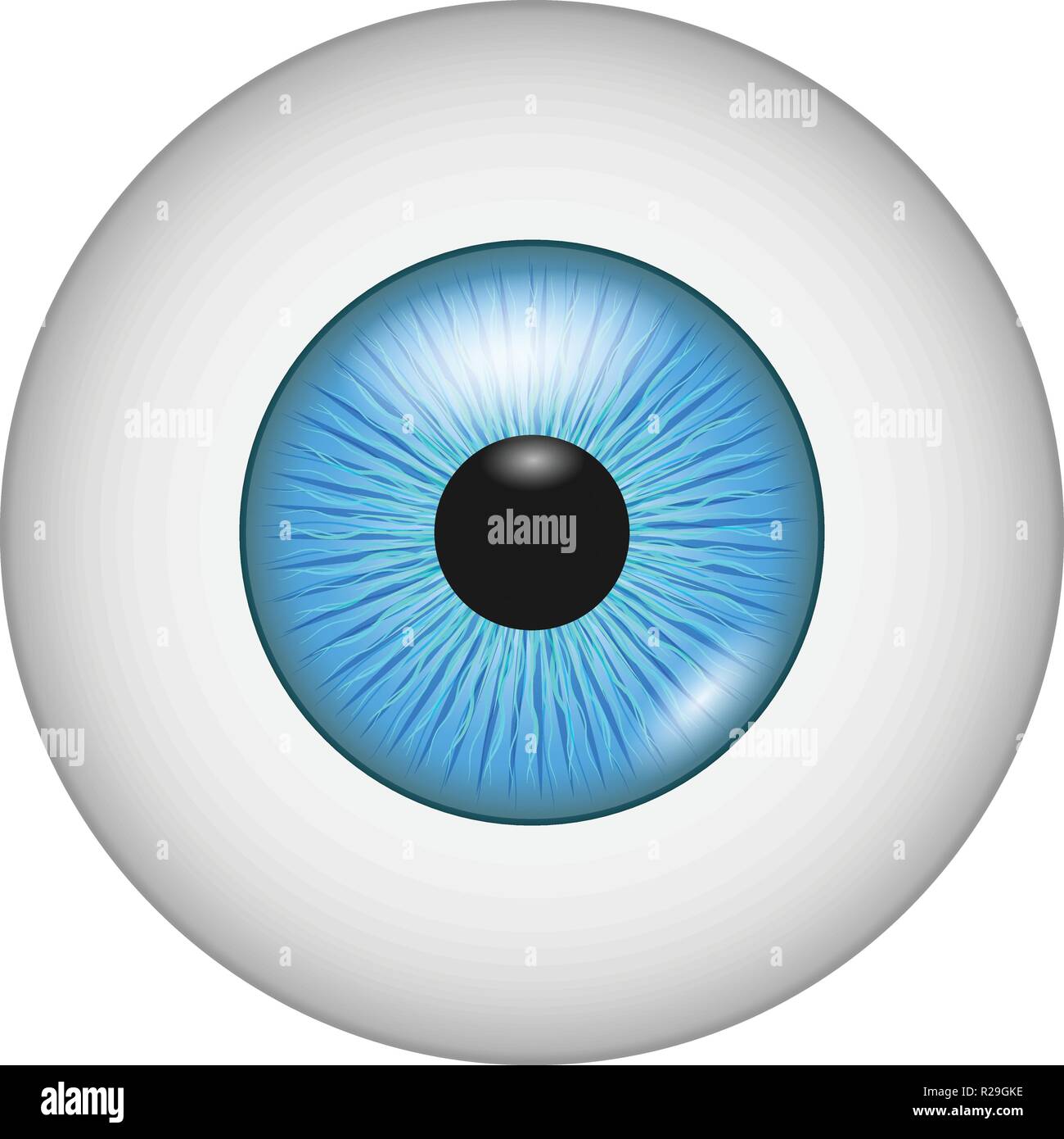 Eyesight icon. Realistic illustration of eyesight vector icon for web ...