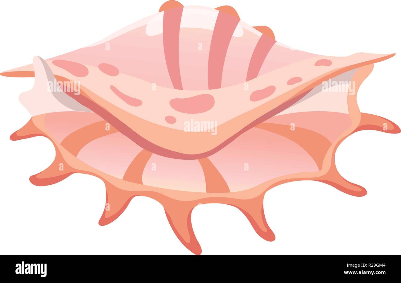 Exotic shell icon. Cartoon illustration of exotic shell vector icon for ...