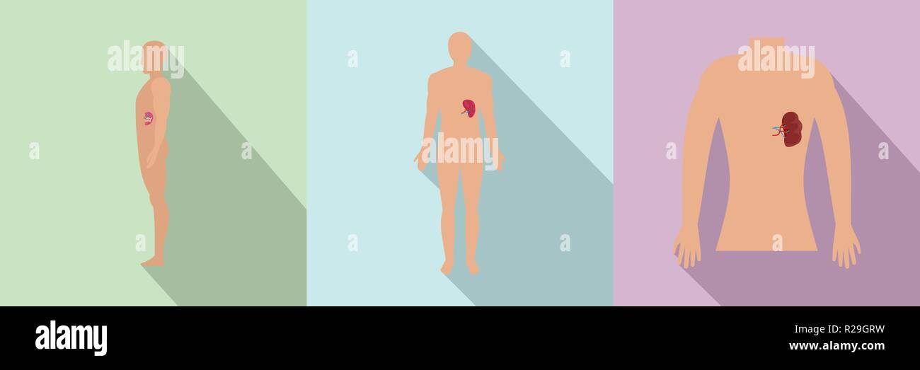 Spleen milt human anatomy icons set. Flat illustration of 3 spleen milt ...
