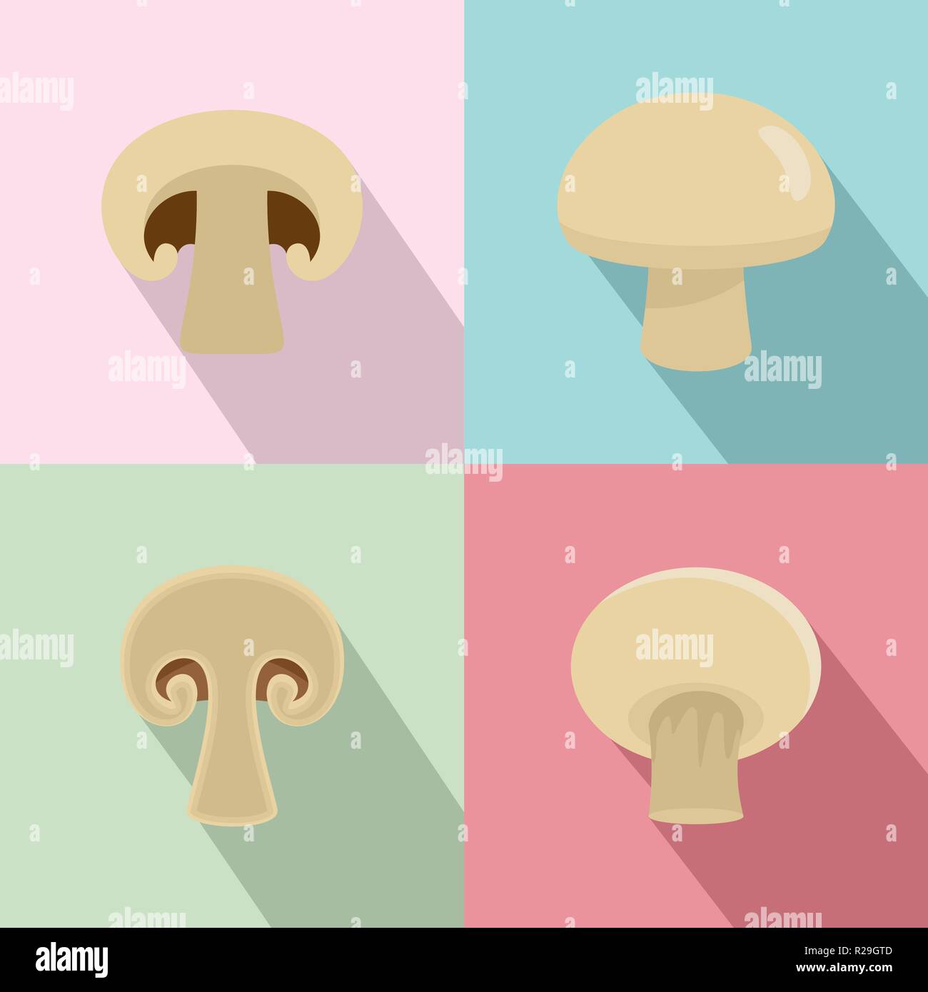 Champignon mushroom icons set. Flat illustration of 4 champignon ...