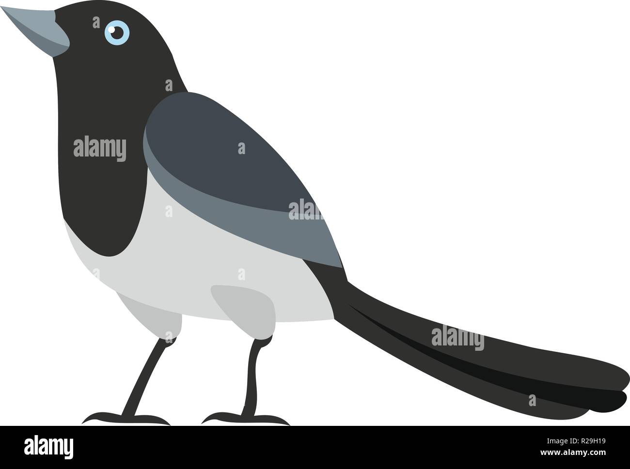 Clever magpie icon. Flat illustration of clever magpie vector icon for ...