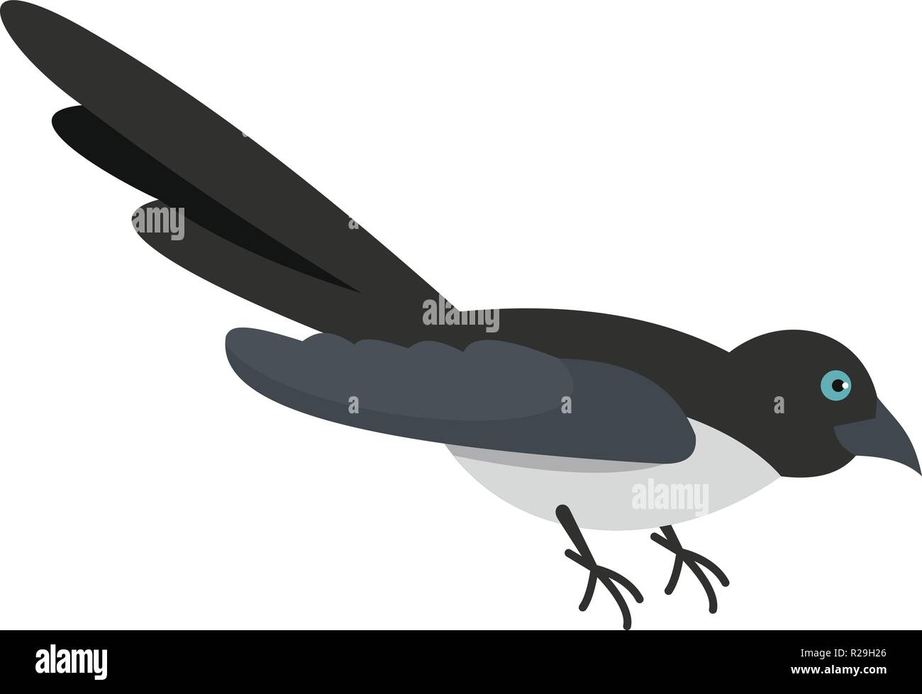 Curious magpie icon. Flat illustration of curious magpie vector icon ...