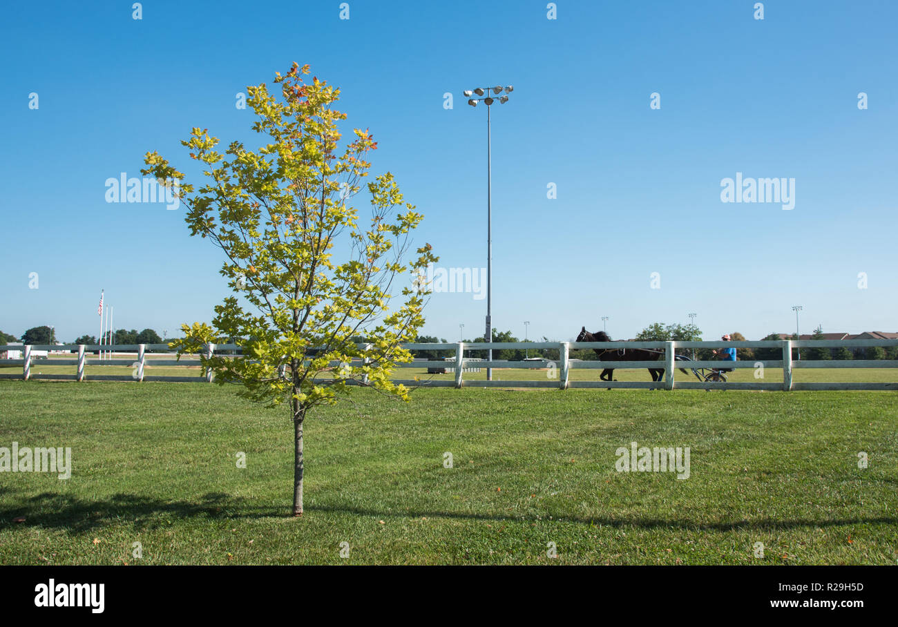 Lexington kentucky race track hi-res stock photography and images - Alamy