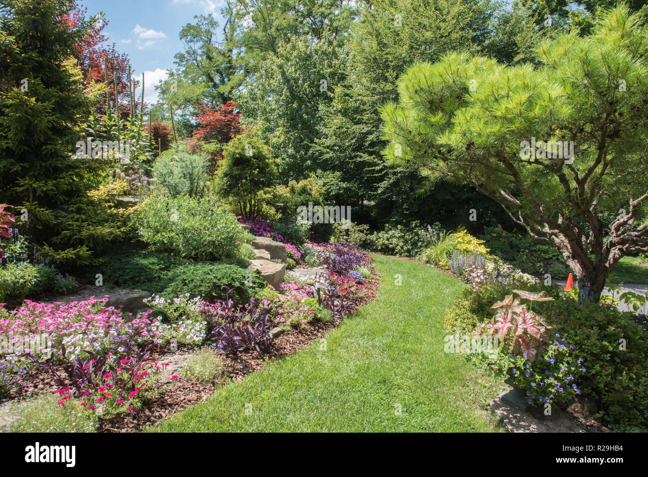 Beautiful Flower Garden Path