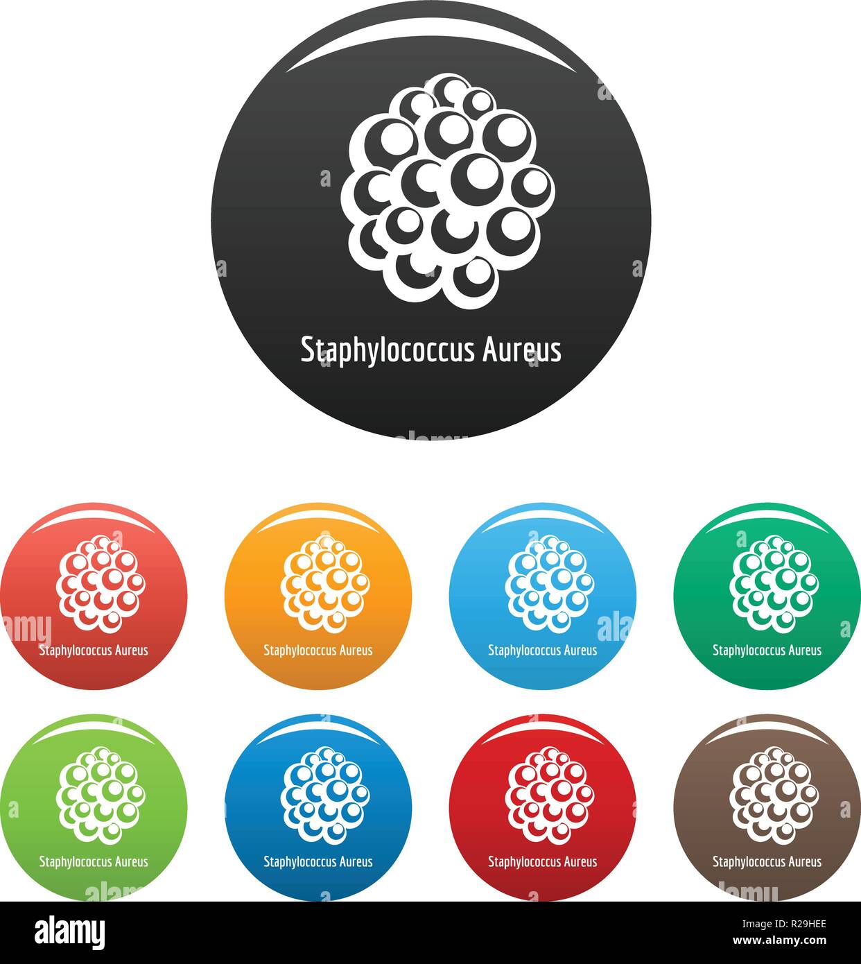 Staphylococcus aureus icon. Simple illustration of staphylococcus ...