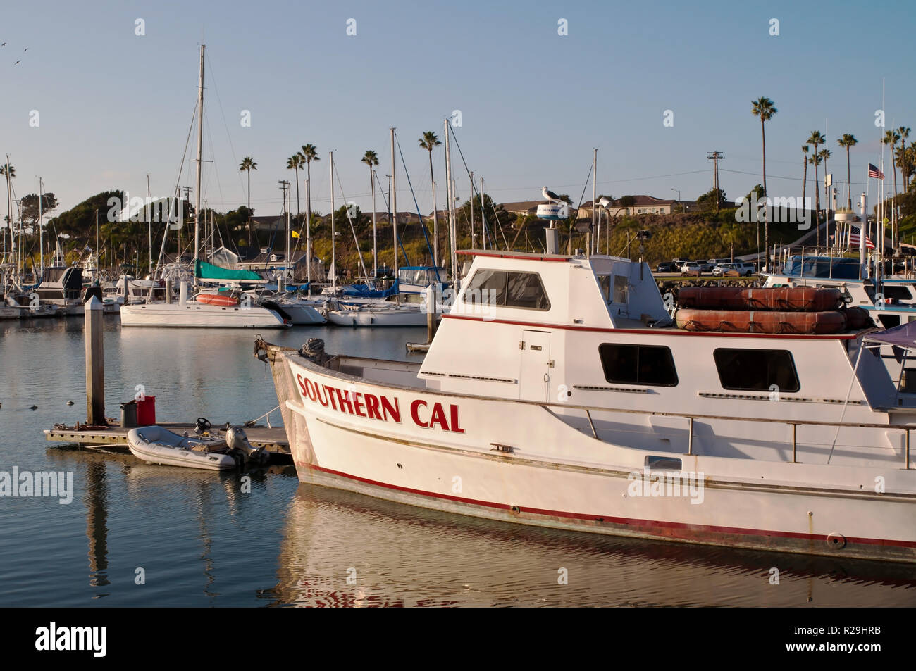 Different seafaring boats docked at the Oceanside Harbor Marina in ...