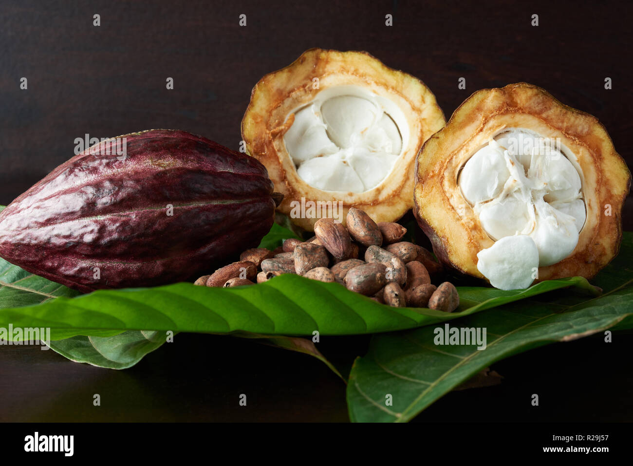 Wet leaves with seeds hi-res stock photography and images - Alamy