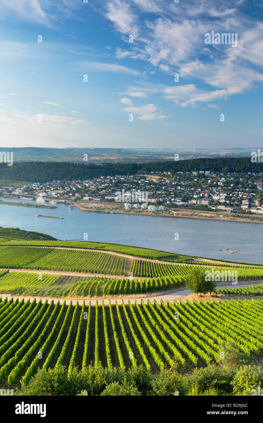 Rudesheim rhineland palatinate germany hi-res stock photography and ...