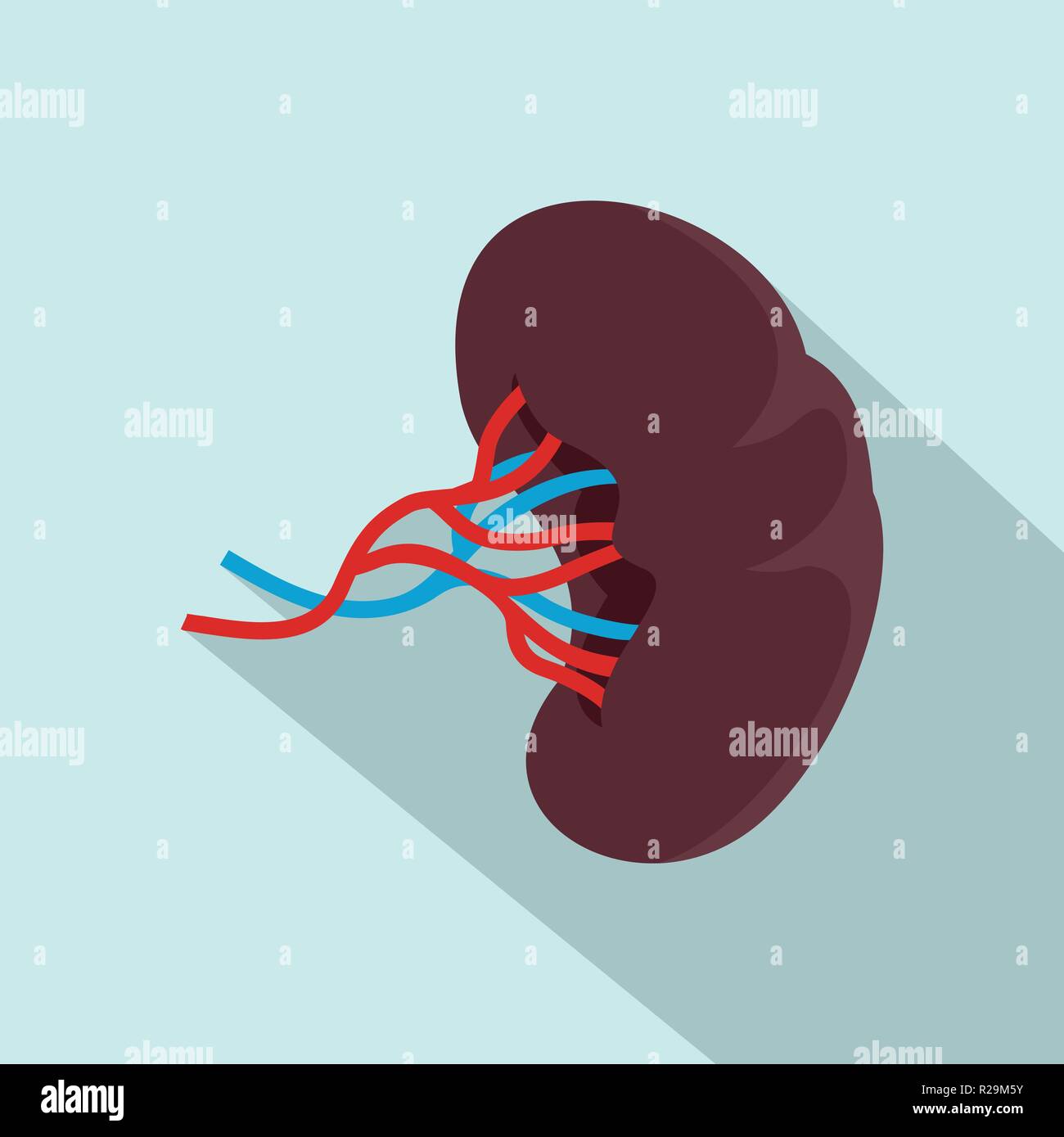 Sick kidney icon. Flat illustration of sick kidney vector icon for web ...