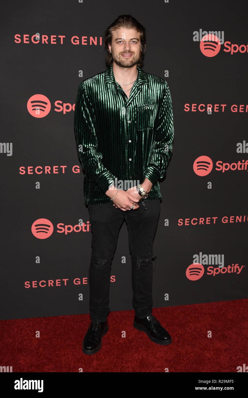 Nic Nac attends the Spotify's Secret Genius Awards Hosted By NE-YO at ...