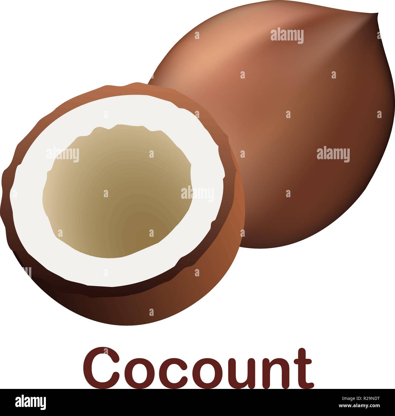 Coconut icon. Realistic illustration of coconut vector icon for web ...