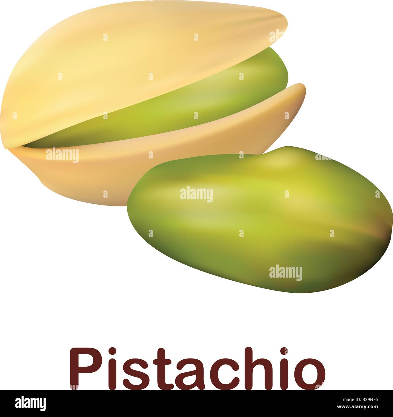 Pistachio icon. Realistic illustration of pistachio vector icon for web ...