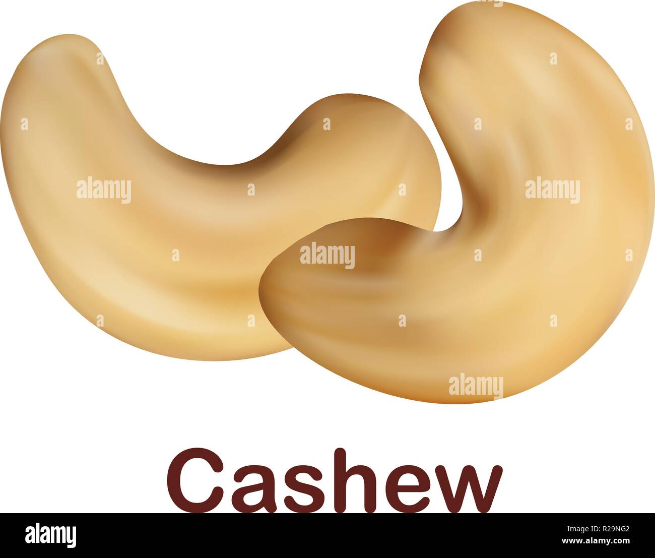 Cashew icon. Realistic illustration of cashew vector icon for web design isolated on white ...