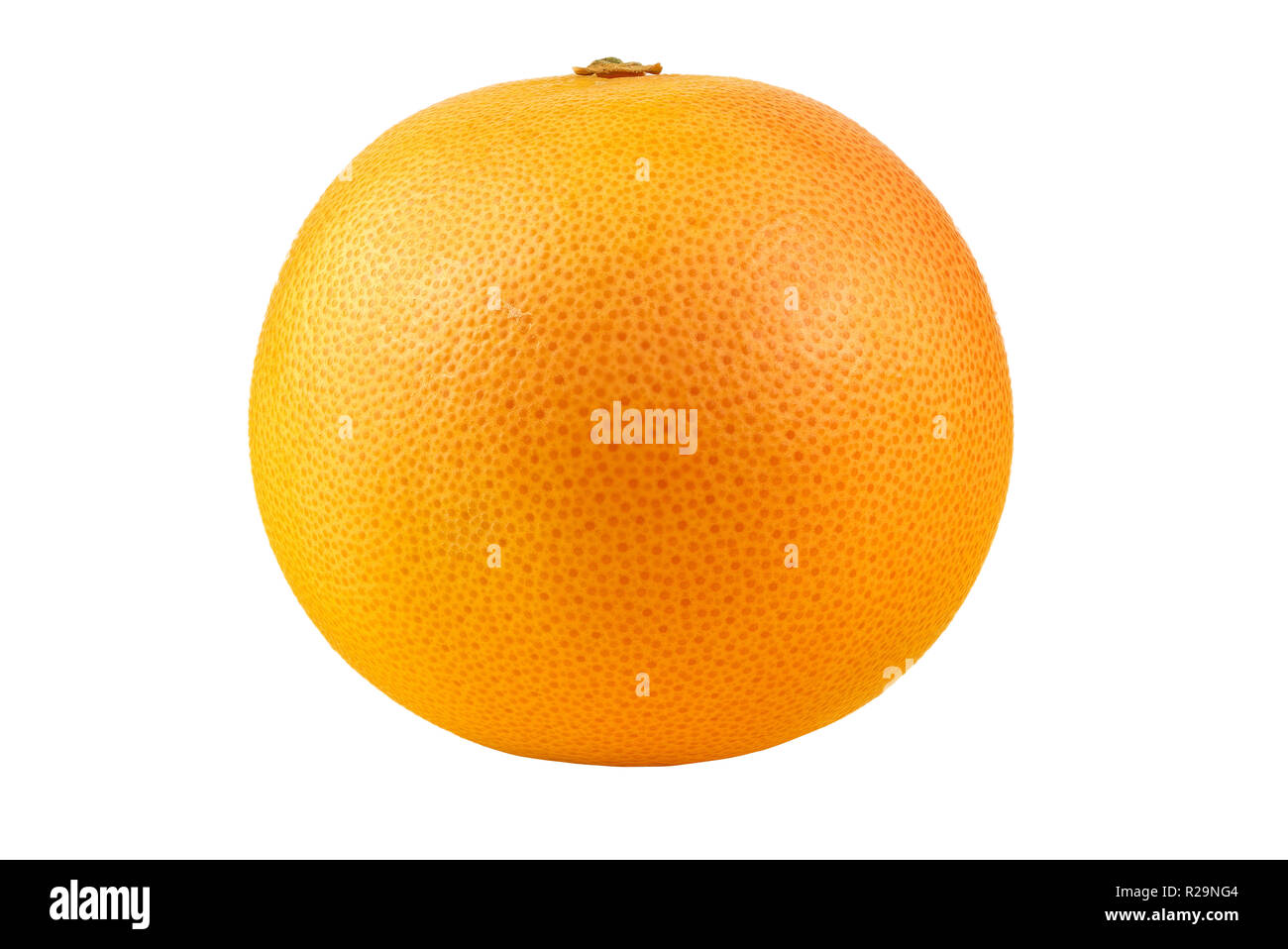 whole grapefruit isolated on white background. clipping path Stock ...