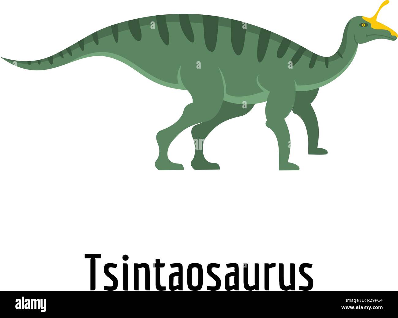 Tsintaosaurus icon. Flat illustration of tsintaosaurus vector icon for ...
