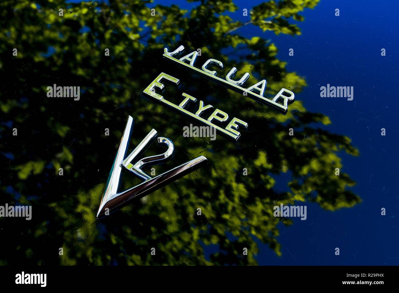 Jaguar E-Type V12 badge Stock Photo - Alamy