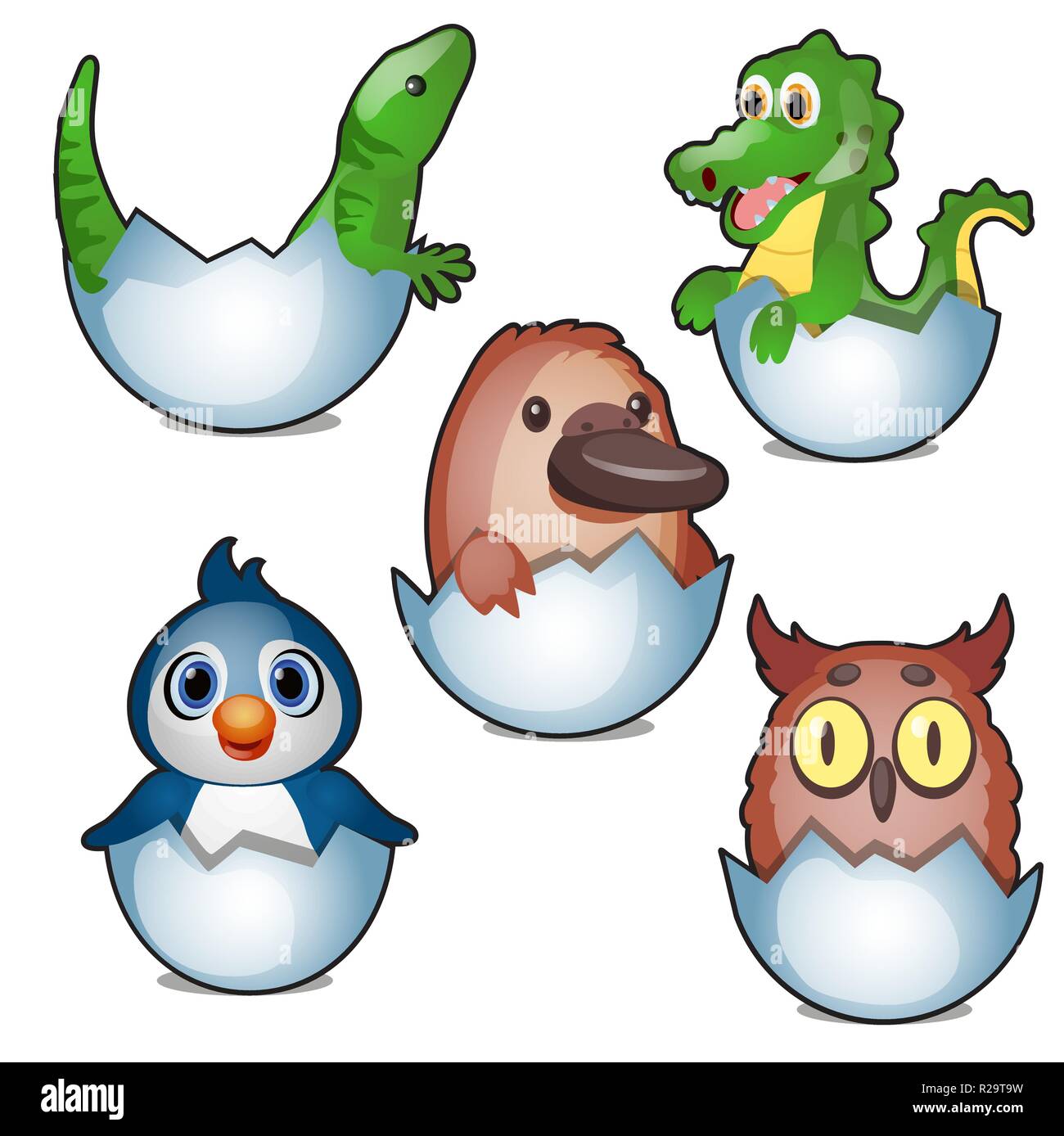 Cute new born animals hatch eggs isolated on white background. Vector ...