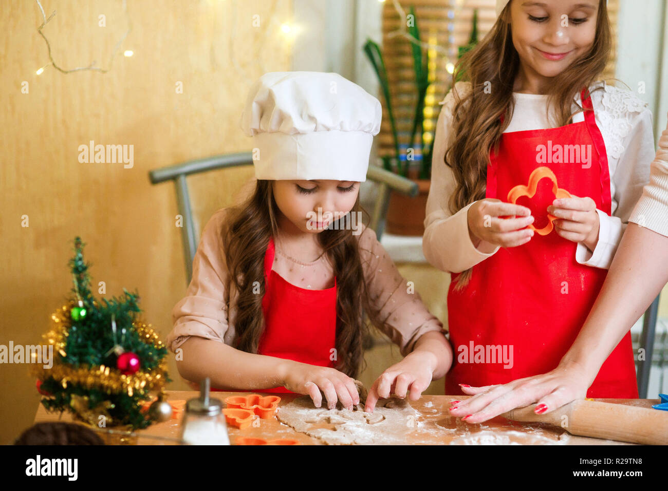 Merry Christmas and Happy Holidays. Family preparation holiday food ...