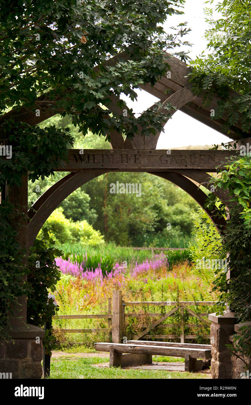 Bishop Middleham wildlife garden, County Durham Stock Photo - Alamy
