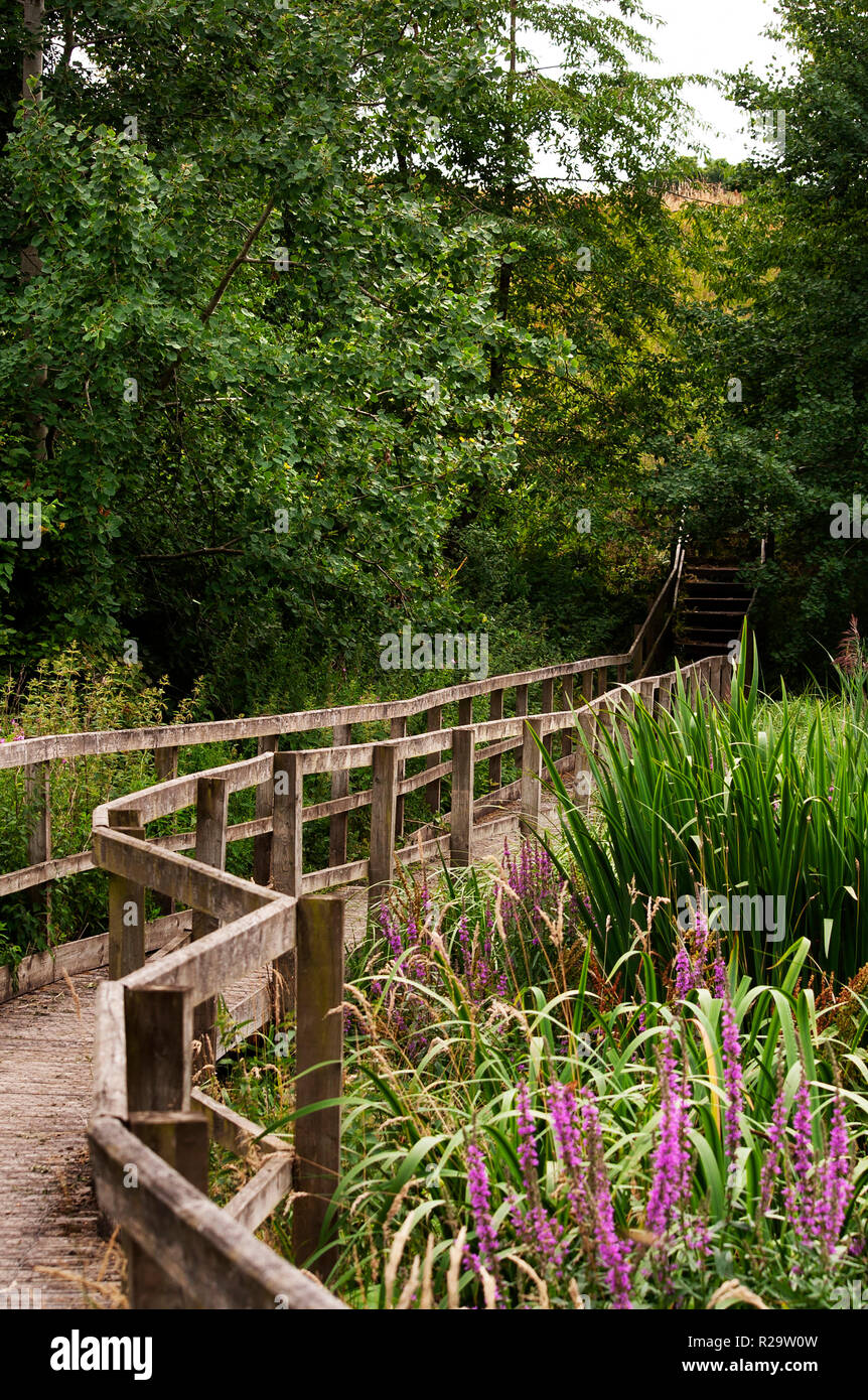 Bishop Middleham wildlife garden, County Durham Stock Photo - Alamy