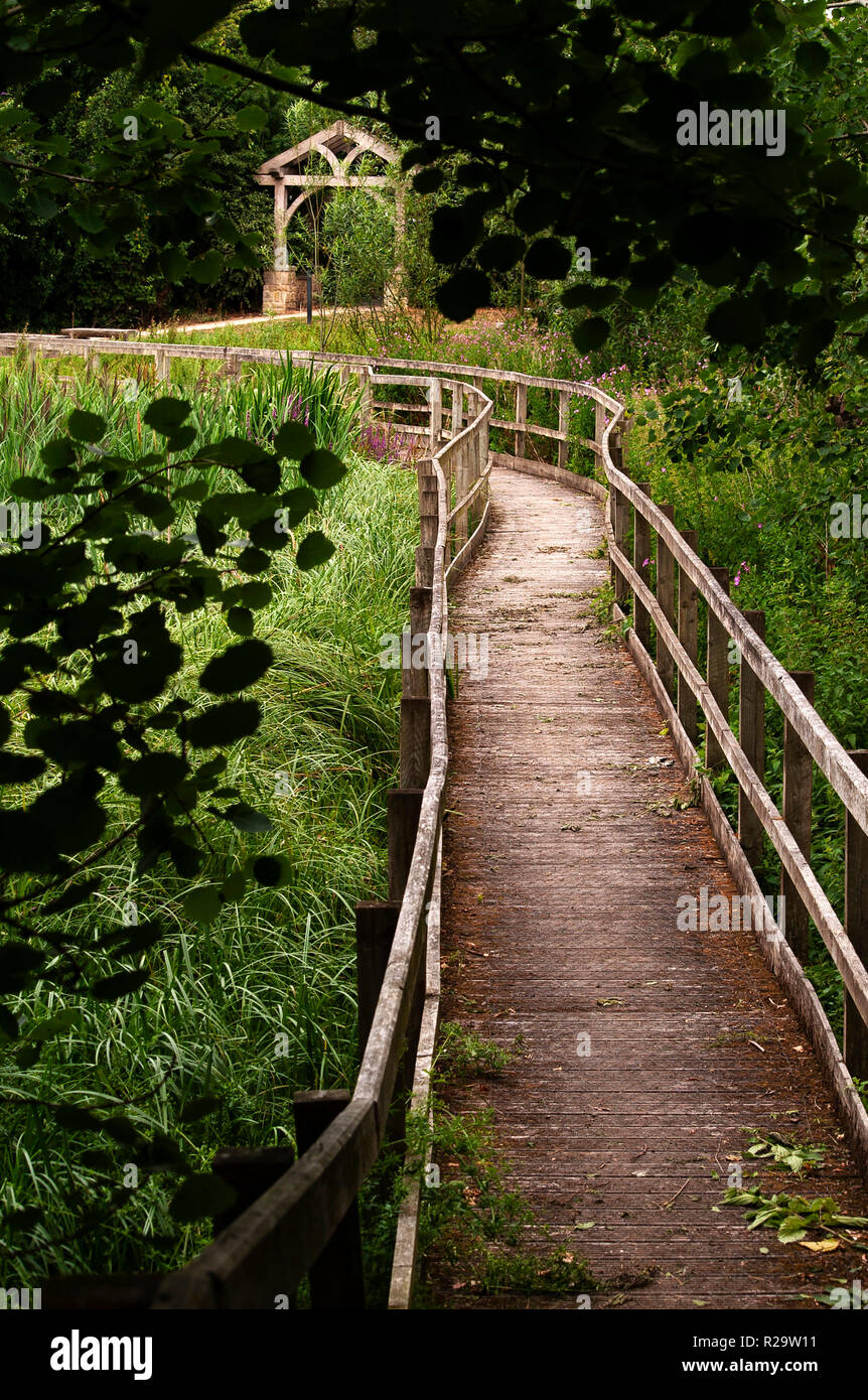 Bishop Middleham wildlife garden, County Durham Stock Photo - Alamy