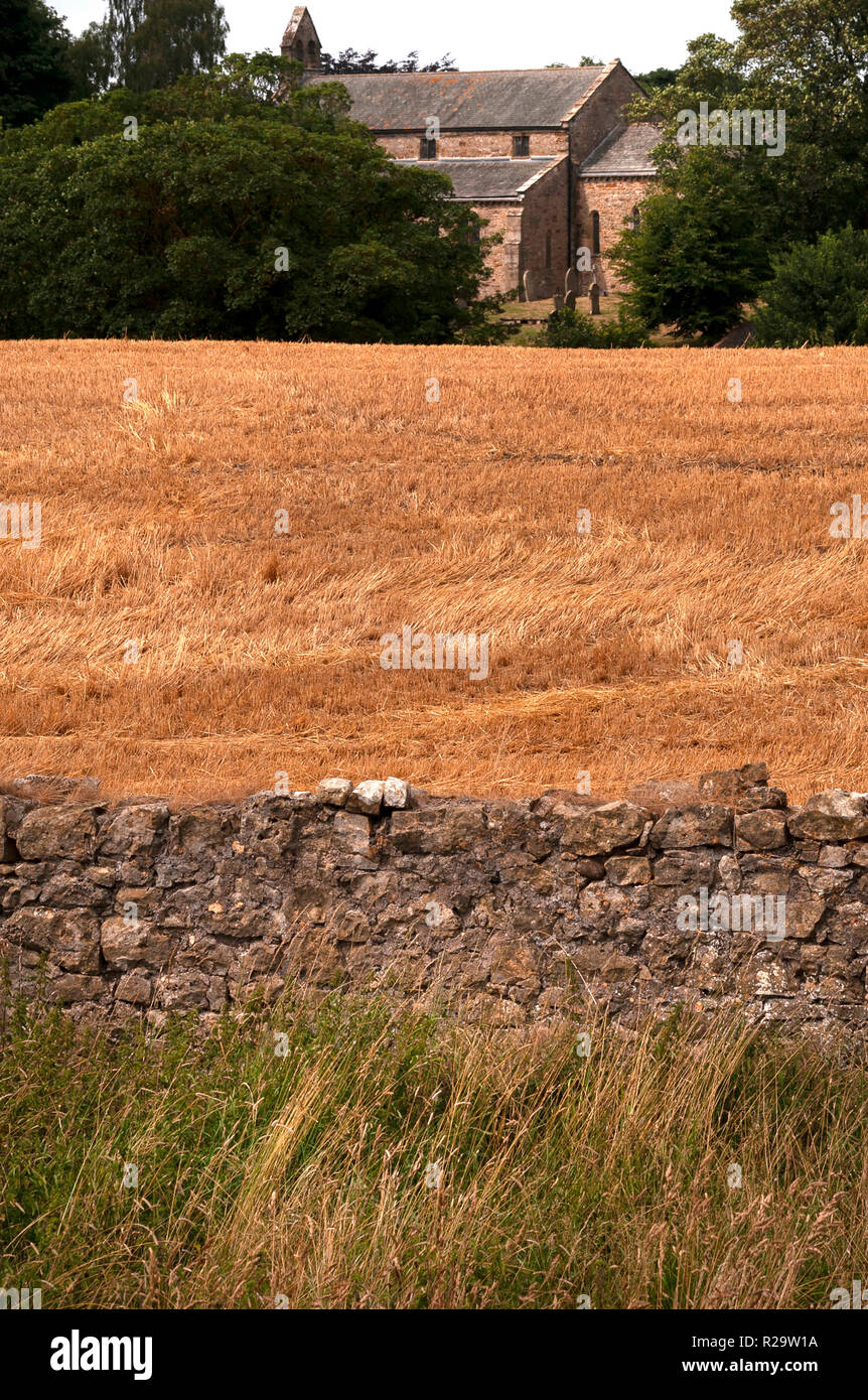 Medieval deer park wall , Bishop Middleham, County Durham Stock Photo ...