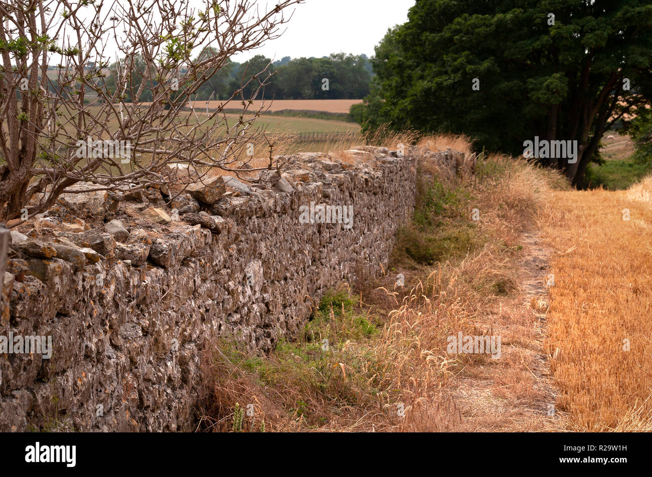 Medieval deer park wall , Bishop Middleham, County Durham Stock Photo ...