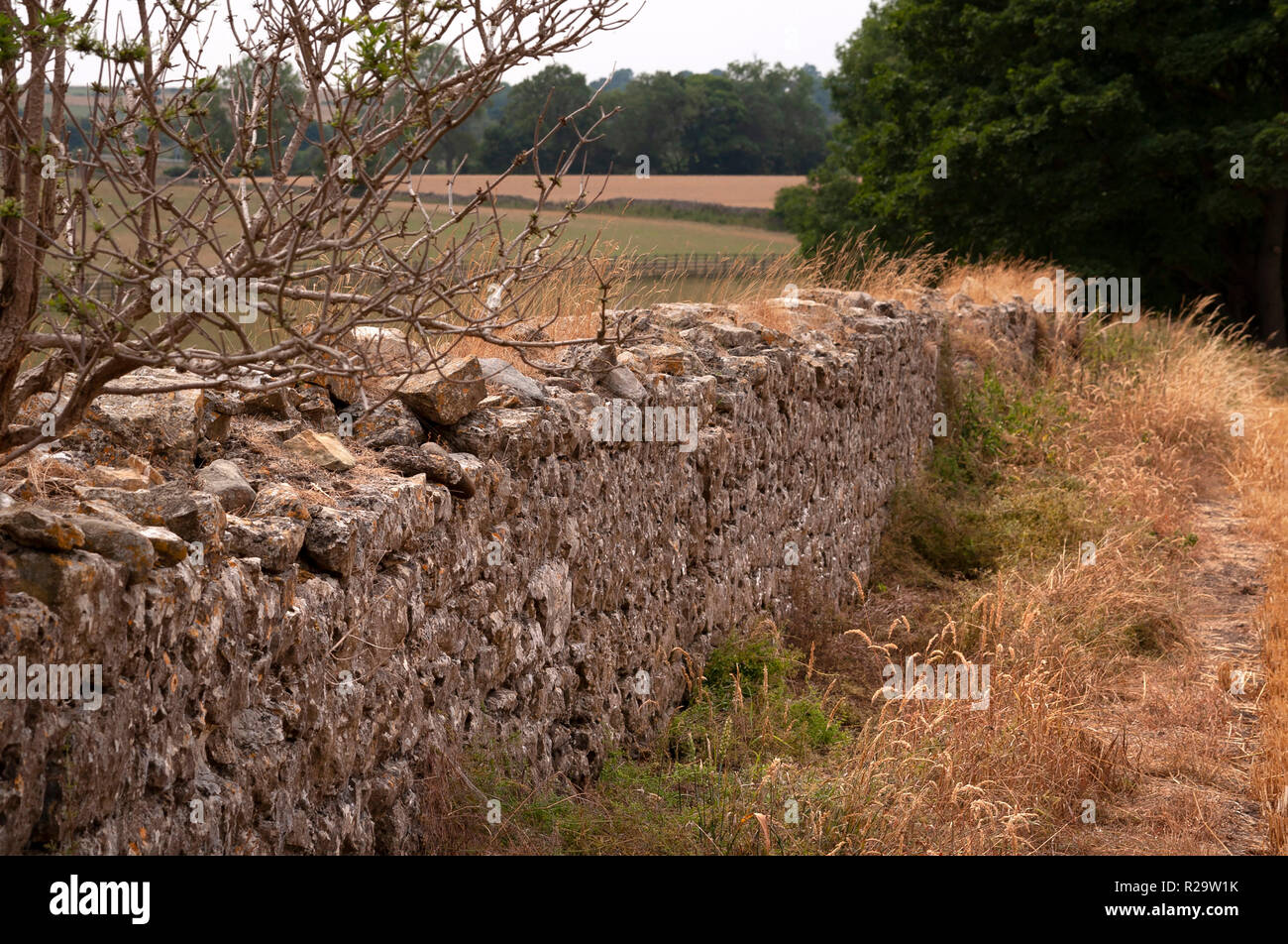 Medieval deer park wall , Bishop Middleham, County Durham Stock Photo ...