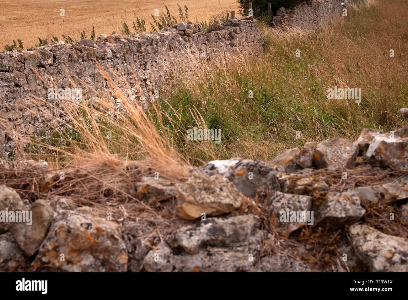 Medieval deer park wall , Bishop Middleham, County Durham Stock Photo ...