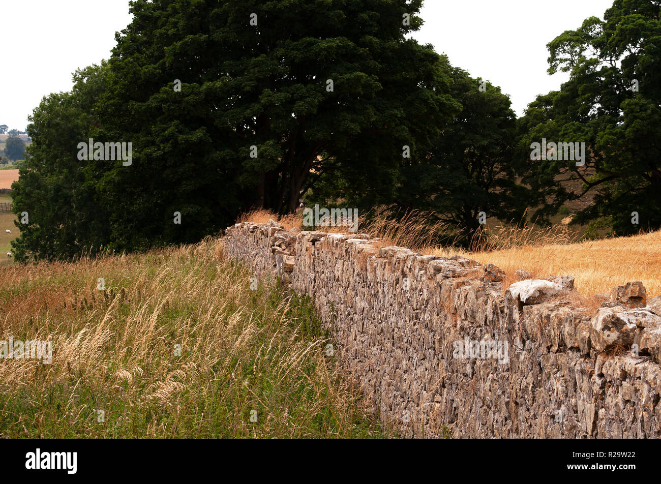 Medieval deer park wall , Bishop Middleham, County Durham Stock Photo ...