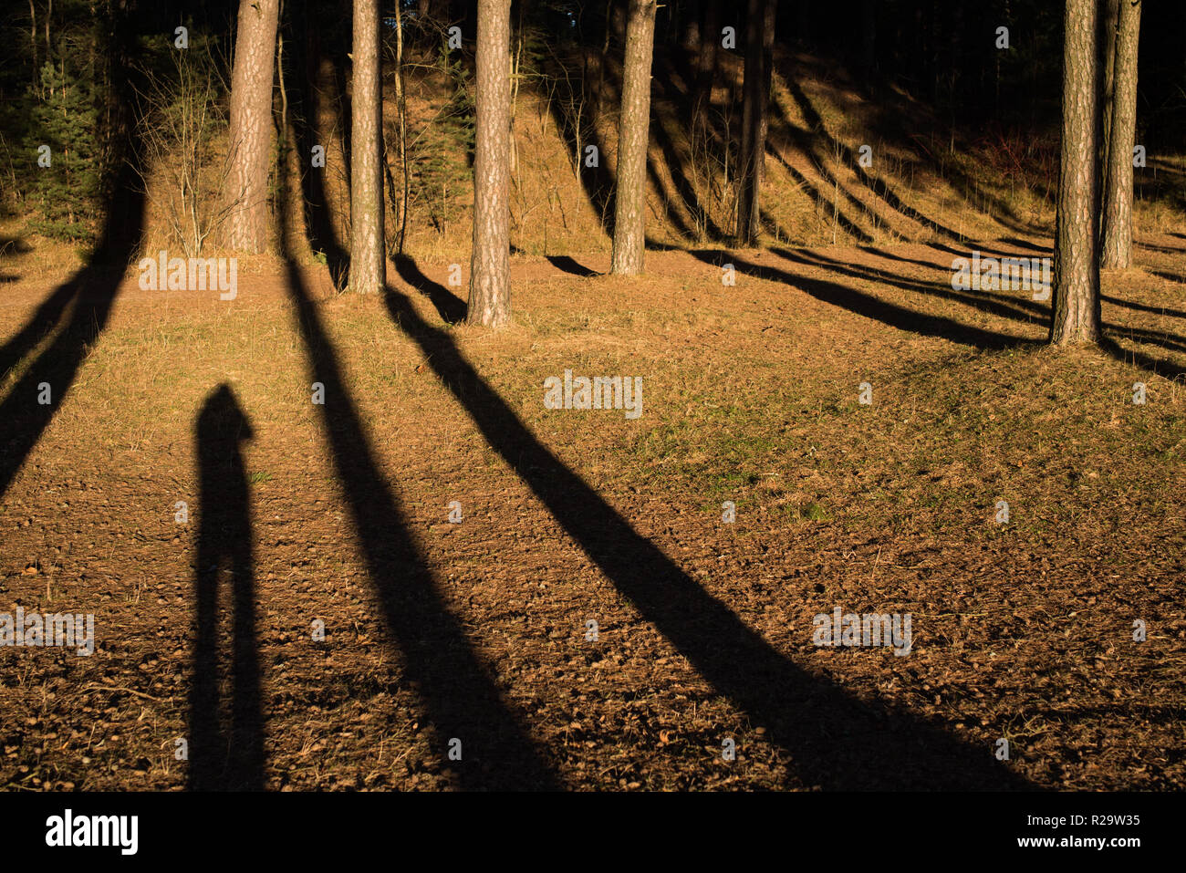Very long shadows hi-res stock photography and images - Alamy