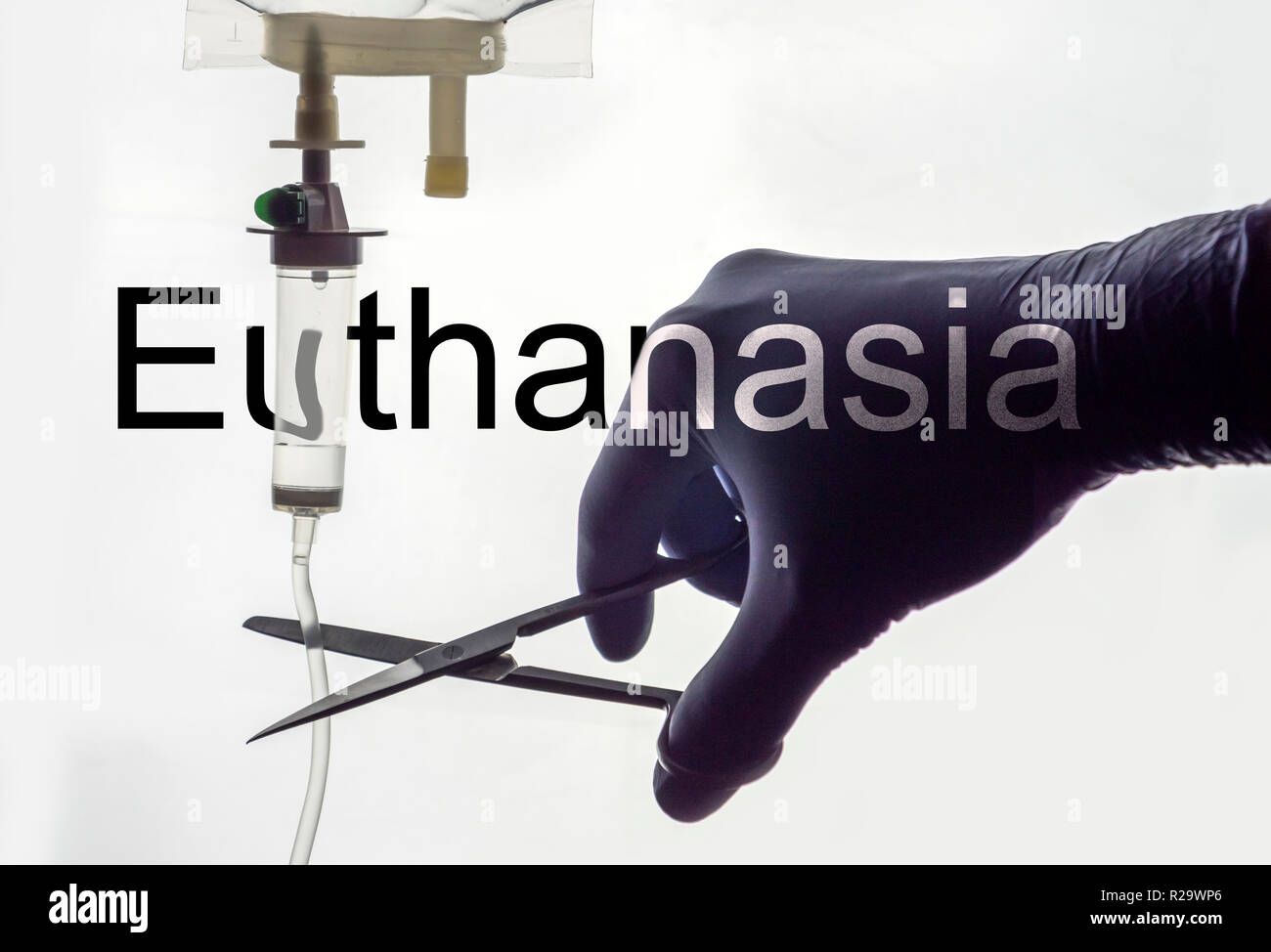 Doctor cut with scissors medication to sick, concept euthanasia Stock ...