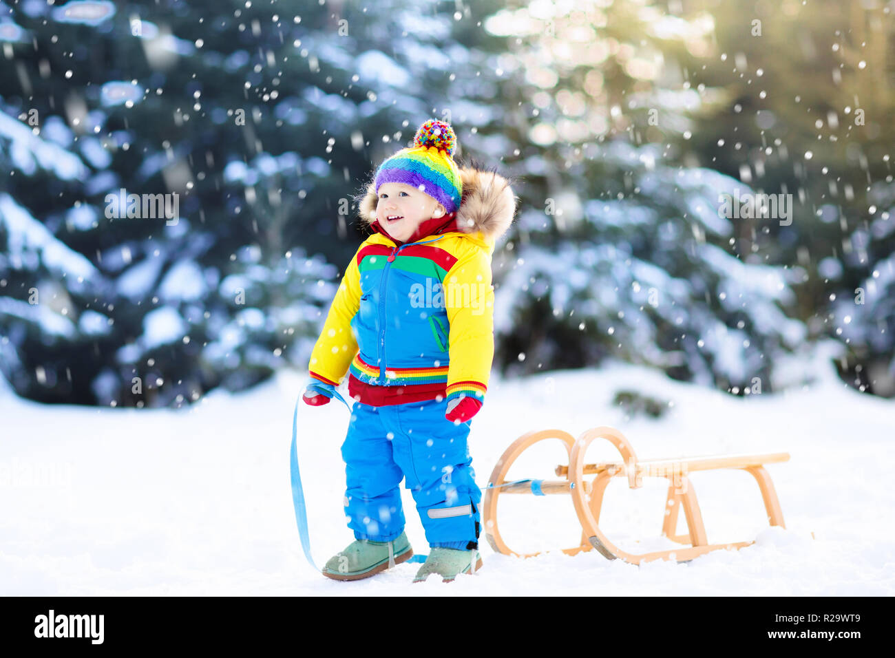 Little boy enjoying a sleigh ride. Child sledding. Toddler kid riding a ...