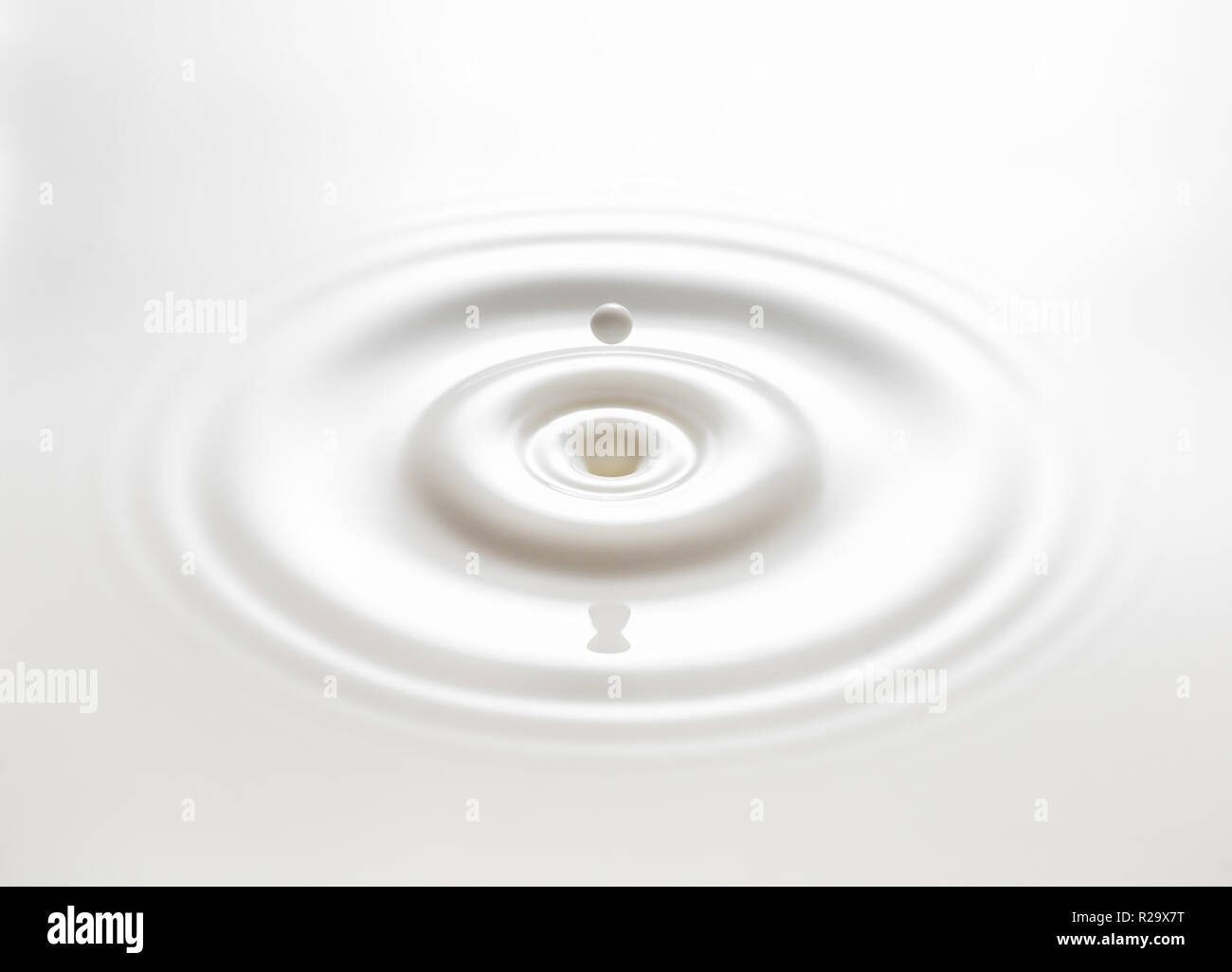 drop falling on milk or white liquid and created splash with circle ...
