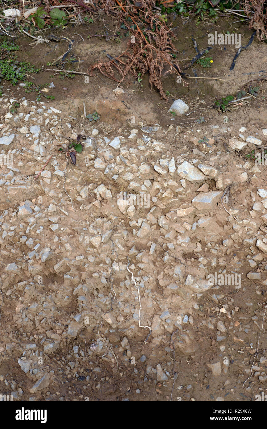 angular rock fragments from repeated freezing of cliffs above revealed ...