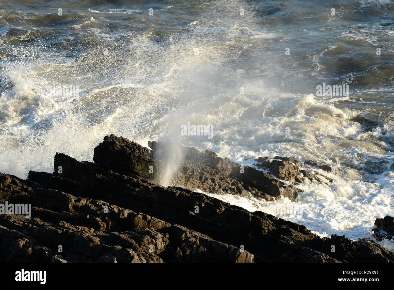 Blow hole on sea cliffs emits spray through fissure between limestone ...
