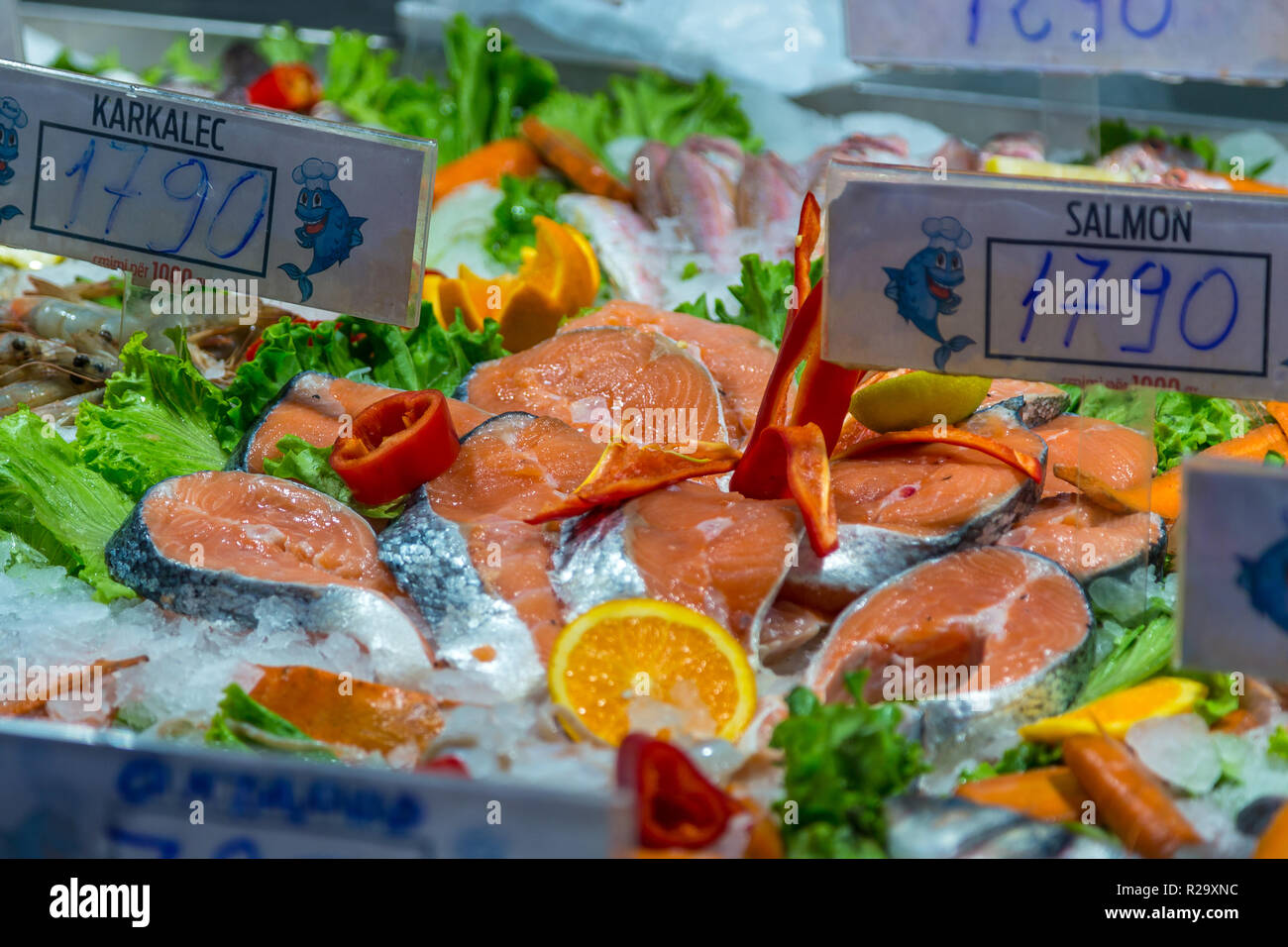 Albania tirana breakfast hi-res stock photography and images - Alamy