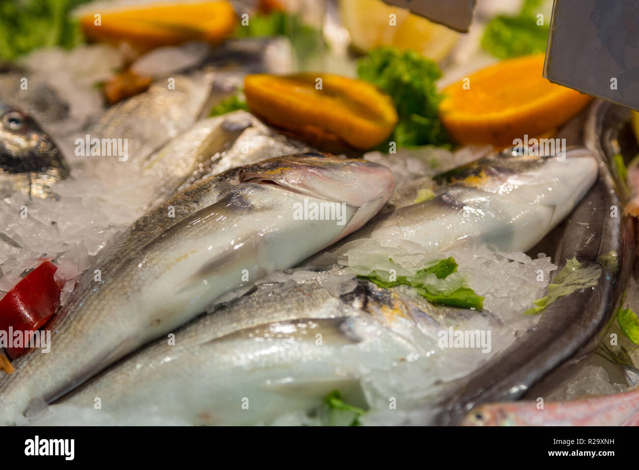 Stands with local fish on the street of Tirana, Albania Stock Photo - Alamy