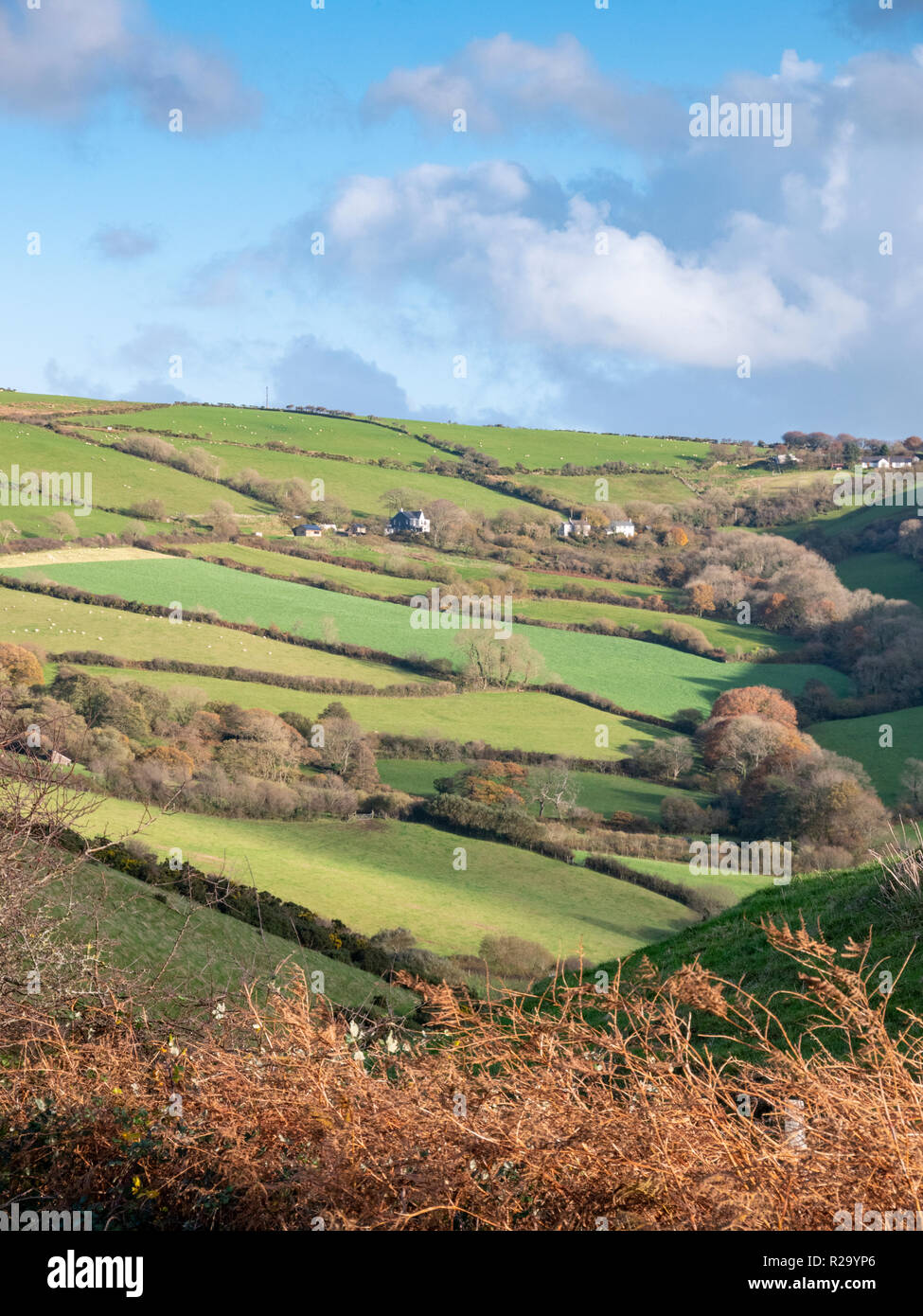 Combe martin devon england hi-res stock photography and images - Alamy