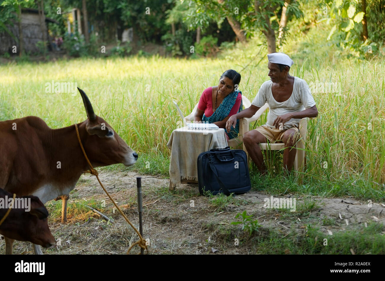 Indian farmer with laptop hi-res stock photography and images - Alamy