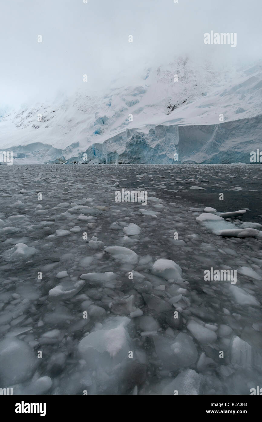 ice flow and ice bergs leading to ice cliffs antarctic peninula ...